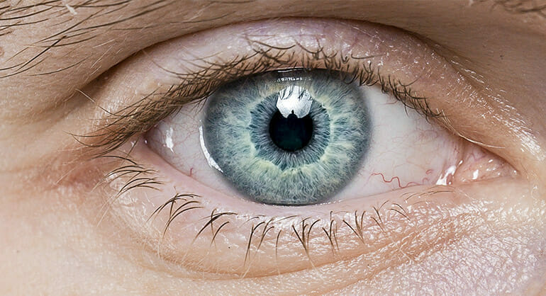 The Growth of Visual Search and How to Keep Up - Lemonlight